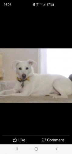 Beverly presnell's Profile Pictures » BaBlahBlah. The Connection Hub