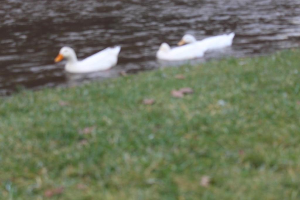 » Sheila Graham's Timeline Photos » BaBlahBlah. The Connection Hub