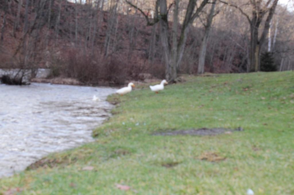 » Sheila Graham's Timeline Photos » BaBlahBlah. The Connection Hub