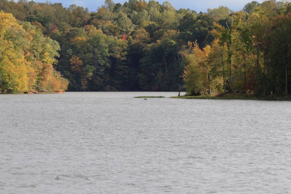 » Alexander Rogge's Cover Photos » BaBlahBlah. The Connection Hub